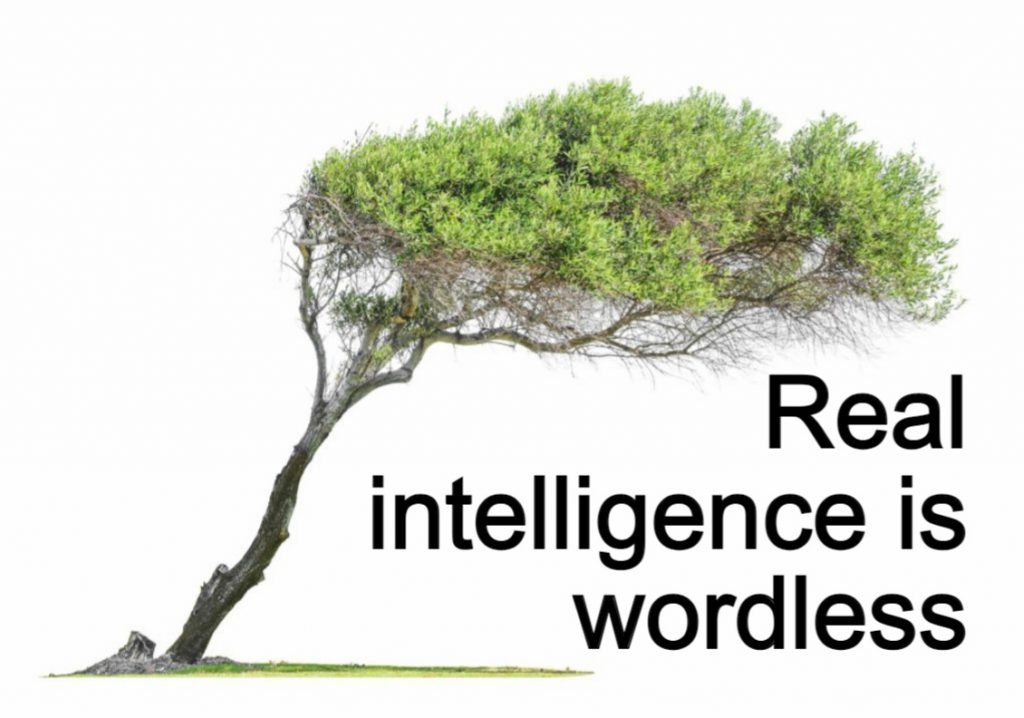 Become all you can become by raising yourself higher on the Tree of Life