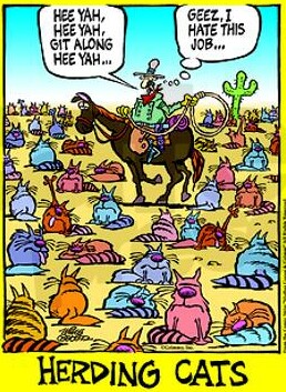 Coaching is often like herding cats…